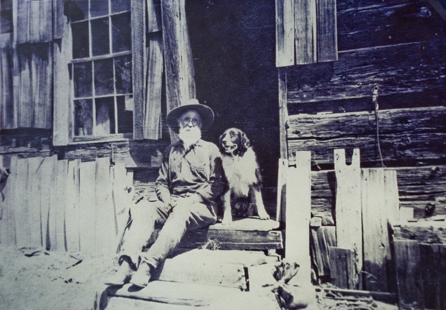 The Enduring Harvest: A Saga of Six Generations with the Bogle Family ...